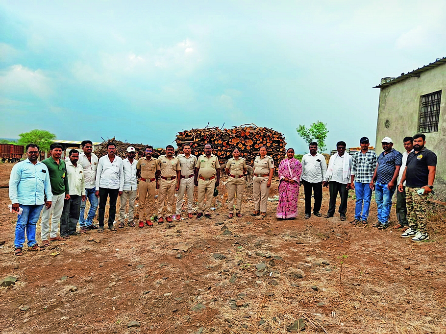 Forest Department takes strong action against tree felling in Tambewadi ...