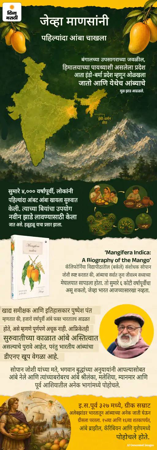 Mango History; India Pakistan National Fruit | Hapus Dashari Kesar ...
