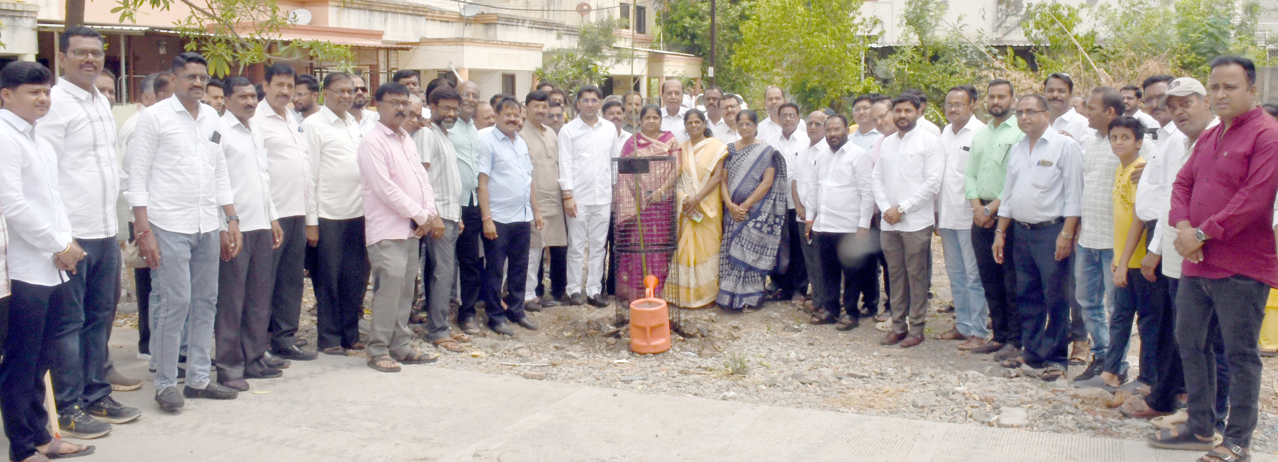 Every citizen should take responsibility for tree plantation and ...