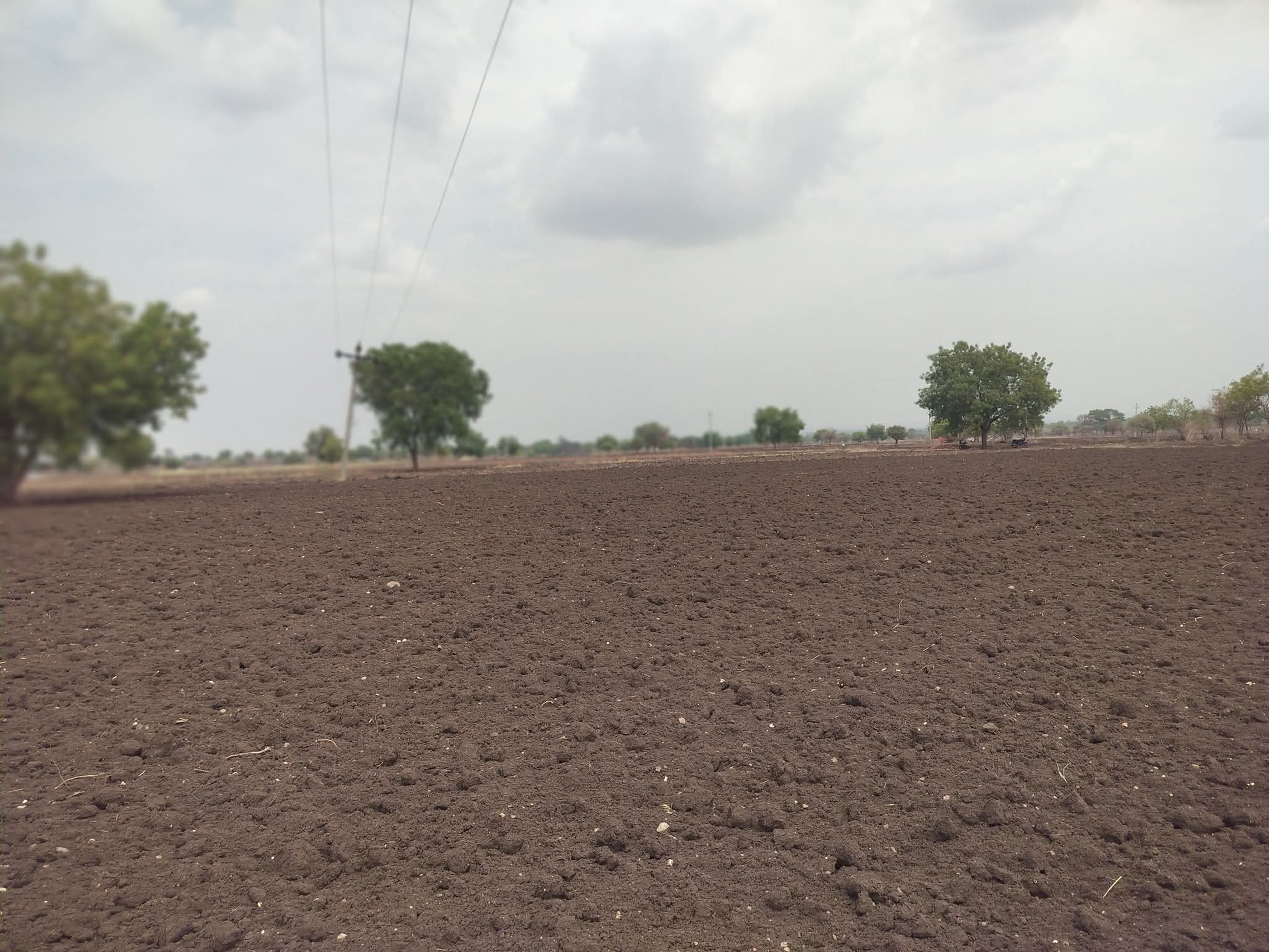 180 quintals of additional seeds; 60 quintals lost due to lack of ...