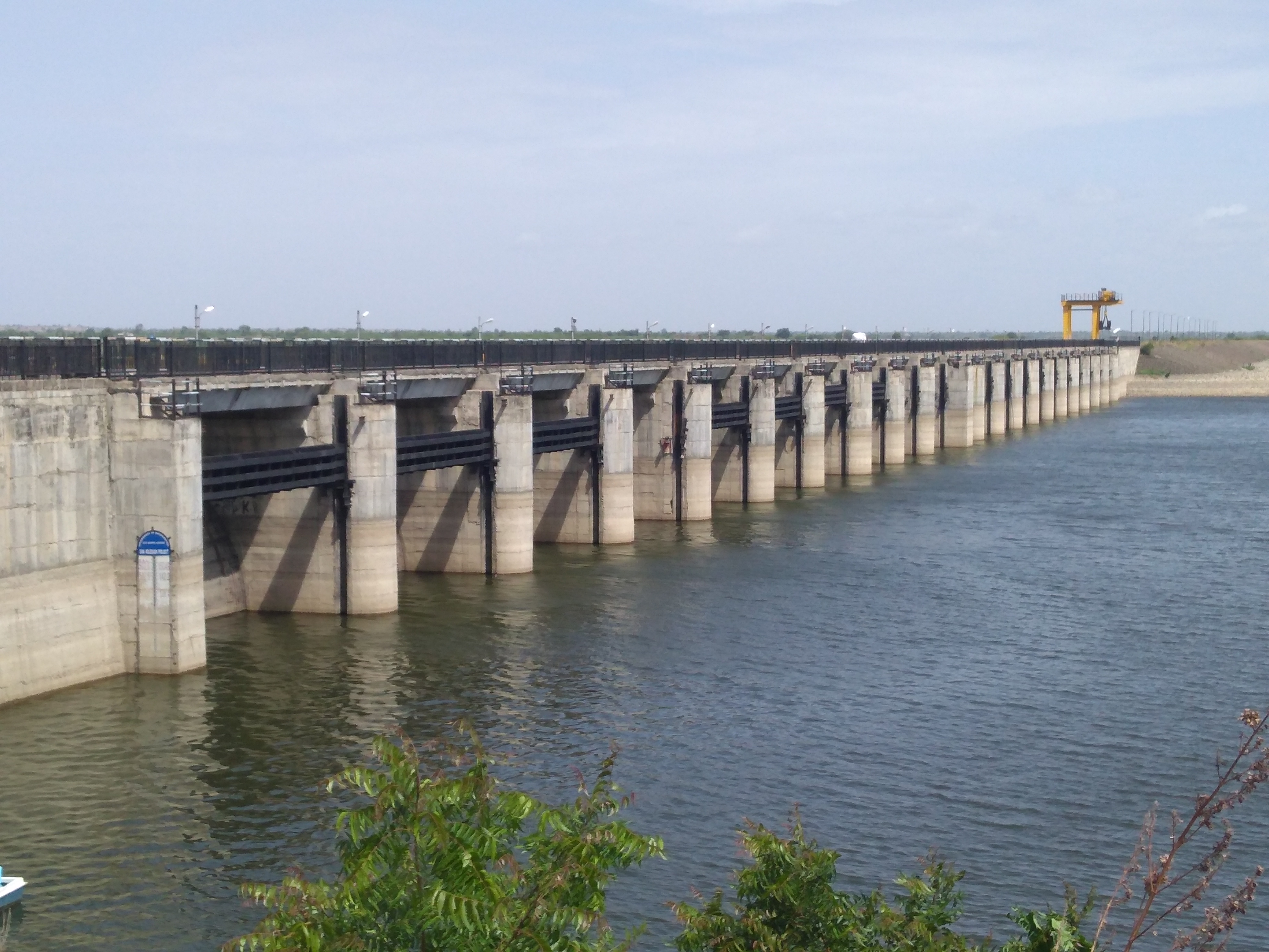 41 percent water in Sina-Kolegaon; Increase in irrigated area, Kharif ...