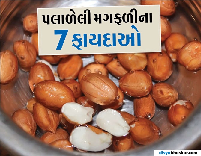 Health Benefits of Peanuts Mungfali and Nutritional Value | રોજ પાણીમાં ...