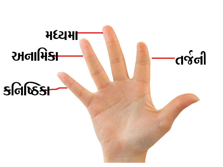 palmistry know future and nature according to index finger | તર્જની ...
