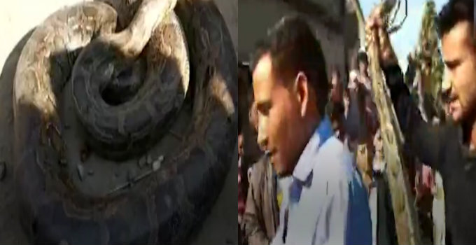 python came on road at haridwar uttarakhand, people rescue of python ...