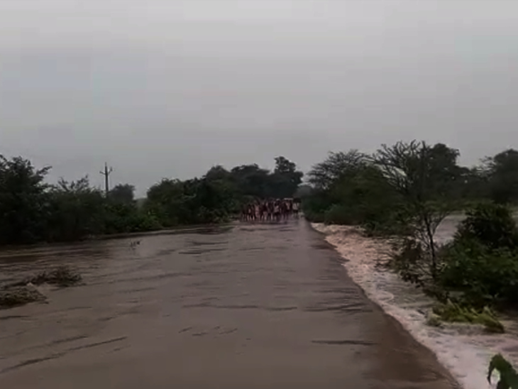 Heavy rain in Mehsana and Vijapur also good rain in north gujarat ...