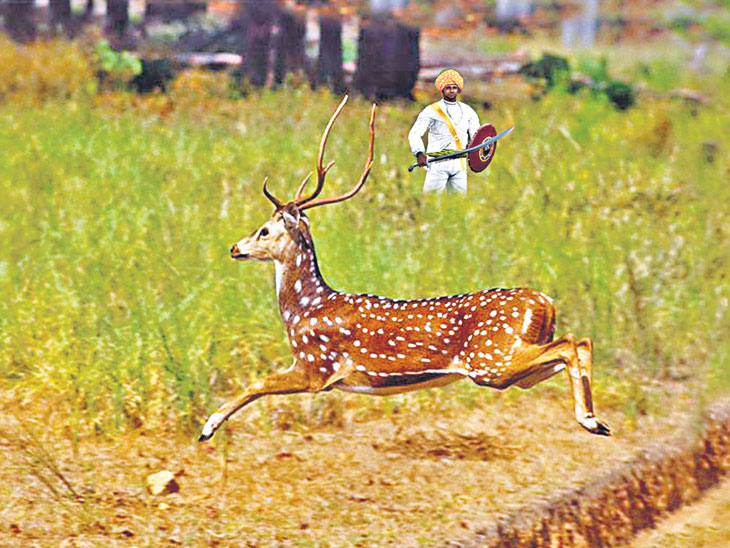 A unique deer teaches the king of Varanasi a lesson of compassion and ...