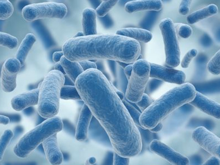 Bacteria in the waters of the Ganga River have become antibiotic ...