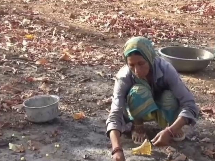 In the lockdown in the ocean, the flowers of Mahuda became a source of ...