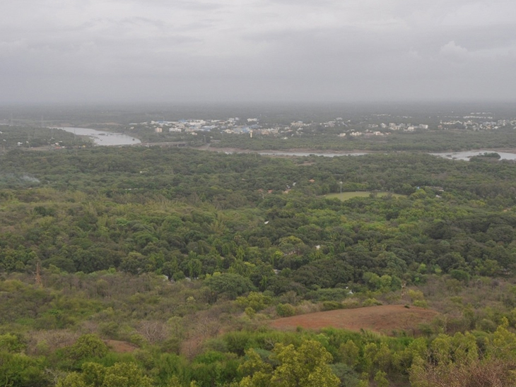 Parnera Dungar surrounded by greenery | ઓકિસજનનું હબ: ચારેબાજુ ...