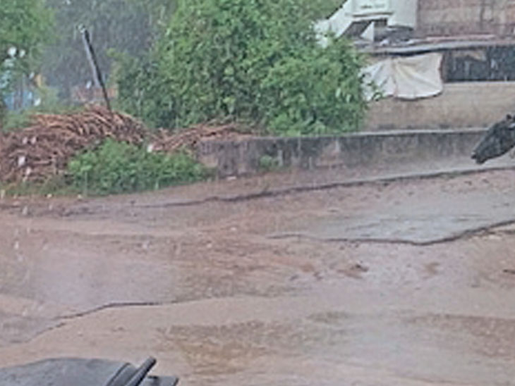 One and half inch in Bahucharaji, light rain in 3 talukas, 6 mm in ...