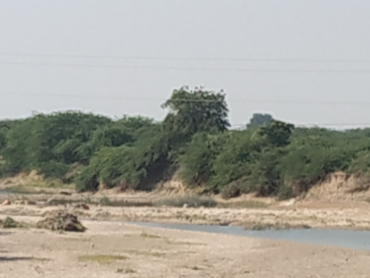 Demand for release of Narmada water in Rupen river passing through ...