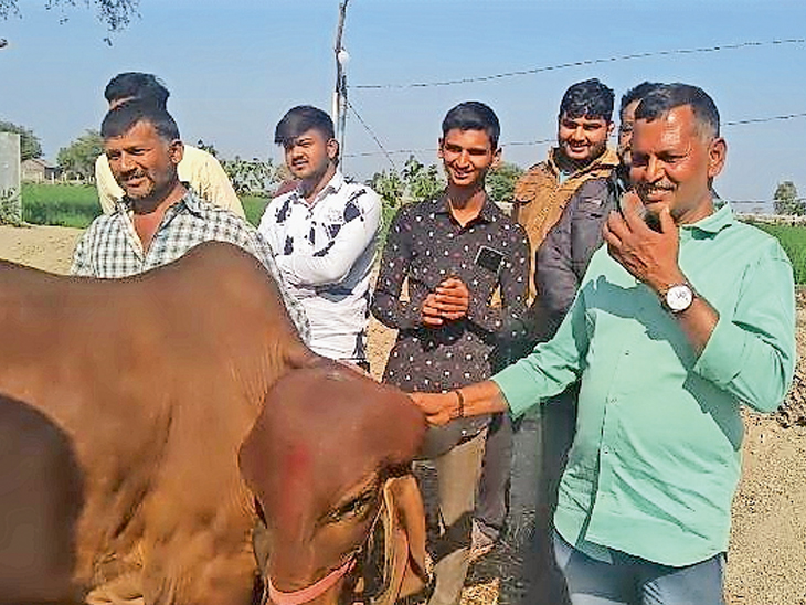 Curiosity among the people in Barwala village who give milk without ...