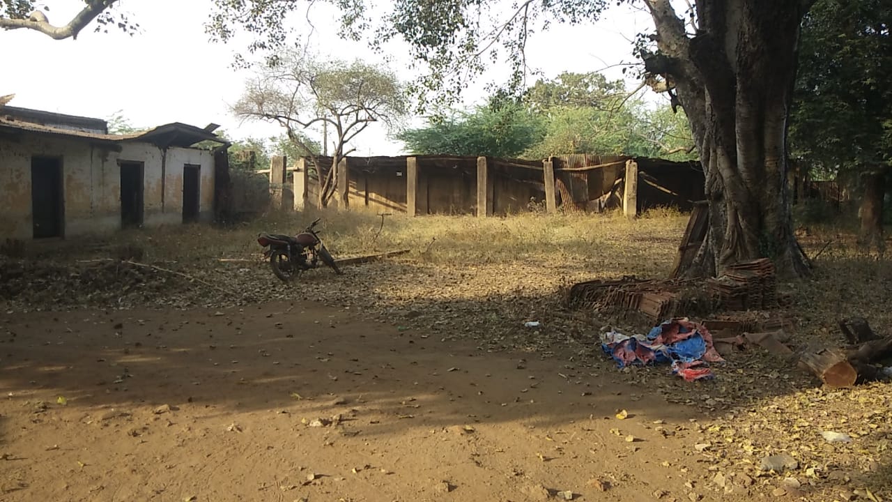 In valia village, the system was forced to move the stray animals ...