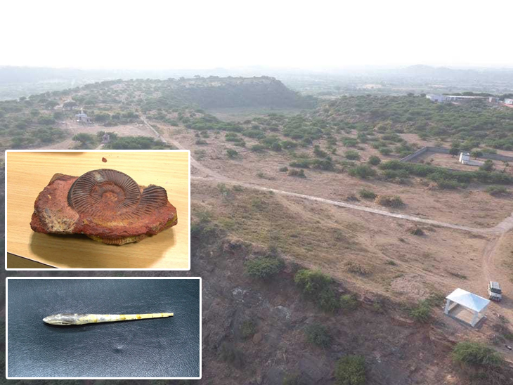 India's first world-class Jurassic Geopark in Kanthkot has the ...