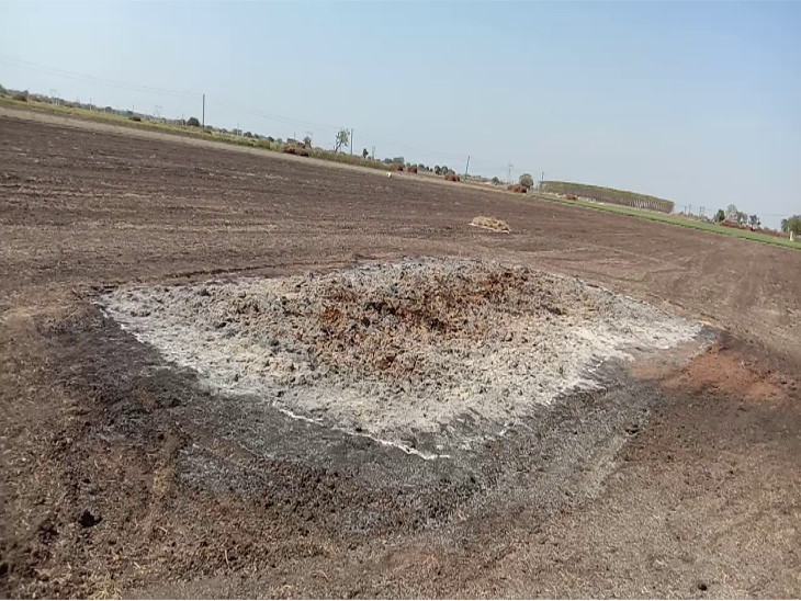 In Kankot village of Atkot, unidentified persons set fire to the cumin ...