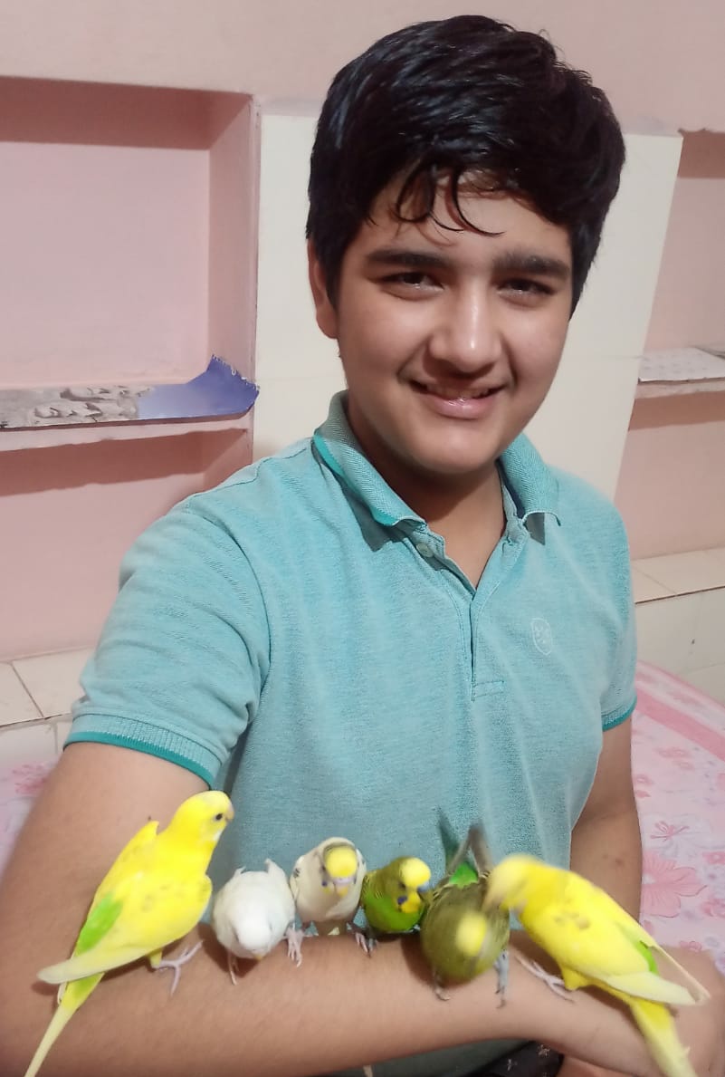 Colorful birds play with their minds on the shoulders and arms of this ...