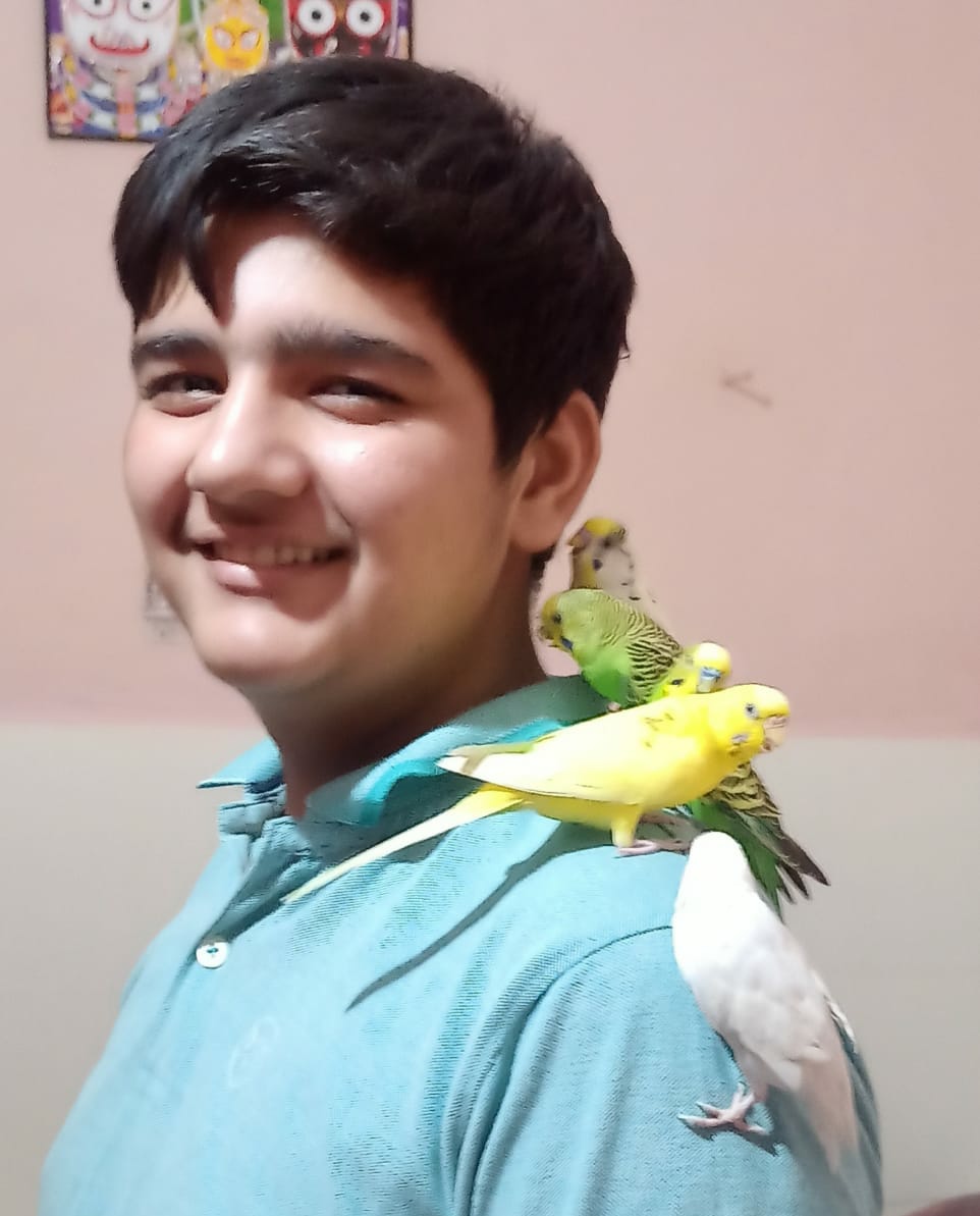 Colorful birds play with their minds on the shoulders and arms of this ...