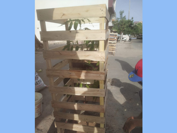 Tree guards made from waste wood by Save the Nature Group | વેસ્ટમાંથી ...