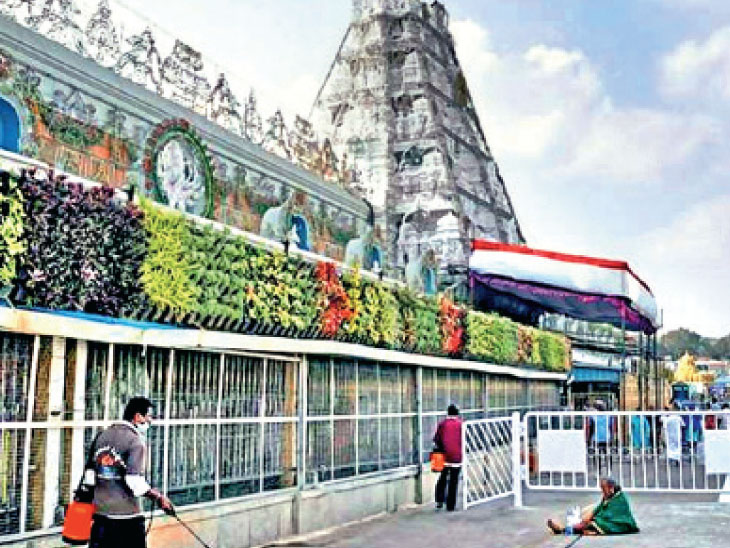 Despite the decline in the number of devotees at the Tirupati temple ...