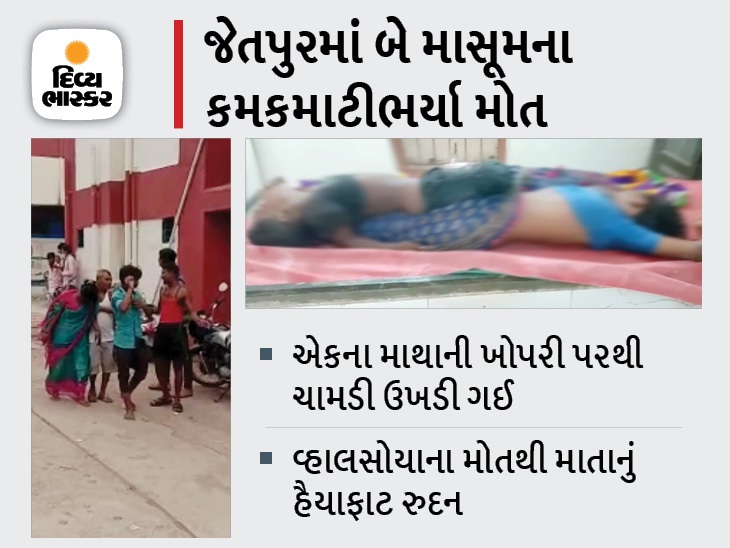 Rajkot News Samachar Gujarati:Rajkot Latest and Breaking News Headlines ...