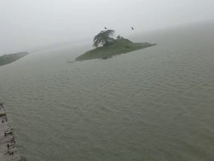 10.5 inches rain in Rajkot, Nyari 1 dam overflow | જળ સંકટ દૂર ...