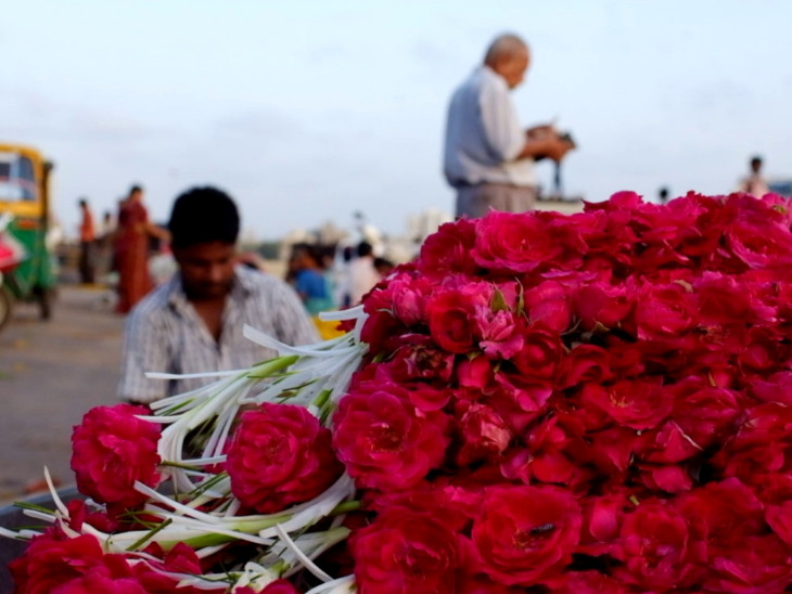Golgotha Rs.50 per kg; The price of rose has gone up by Rs 250 to Rs ...