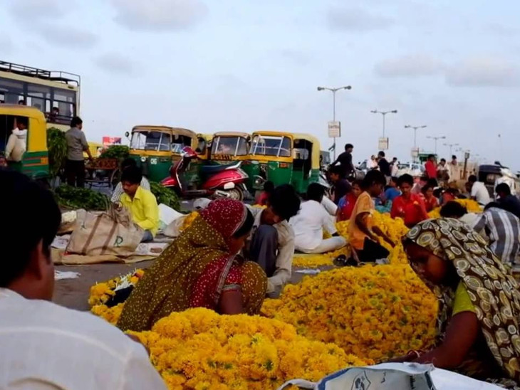 Golgotha Rs.50 per kg; The price of rose has gone up by Rs 250 to Rs ...