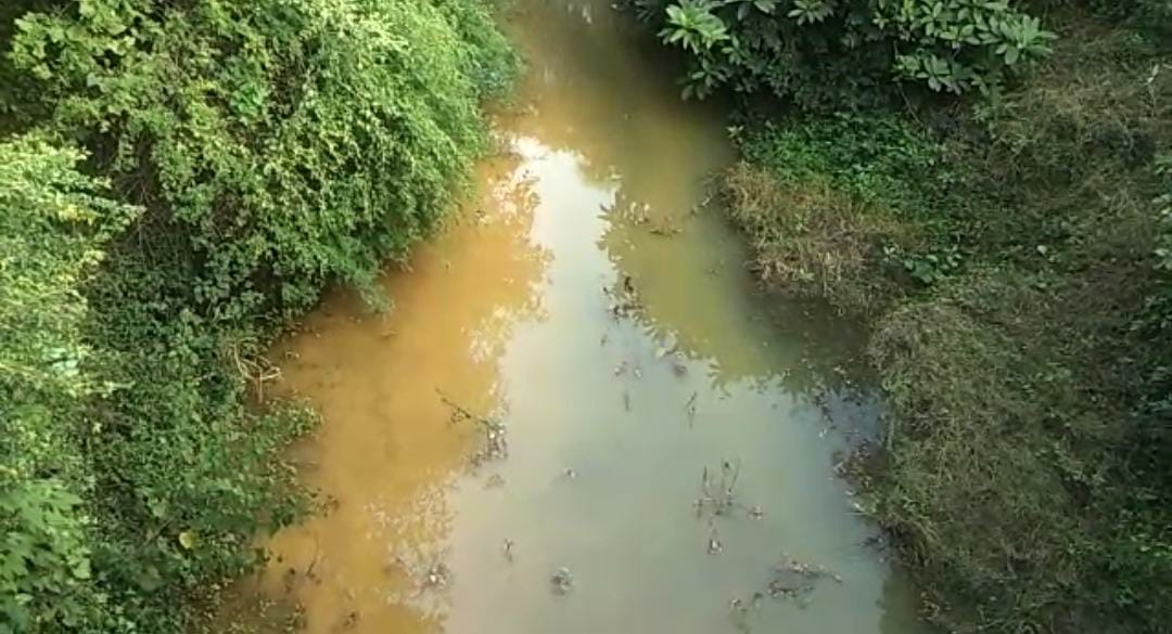 Crop loss due to chemical disposal in the creek passing through the ...