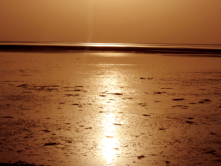 This is the desert of Kutch in Bakhasar of Rajasthan: the land where ...