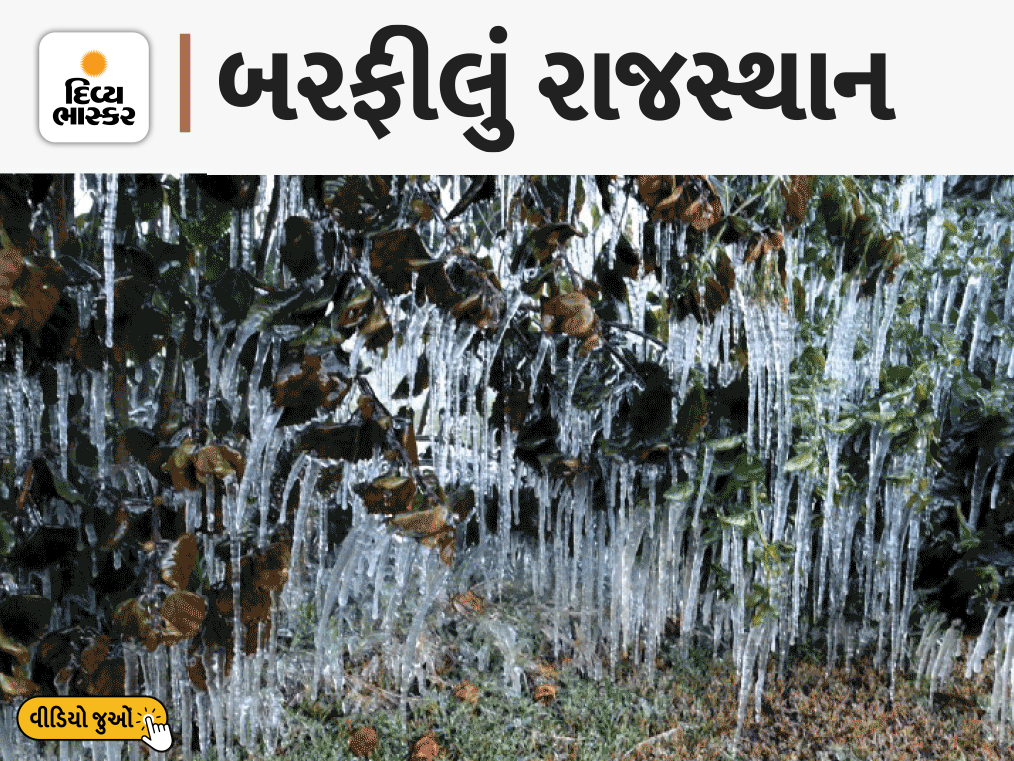 Himachal snowfall, snow cover, Rajasthan recorded minus 5 degree ...