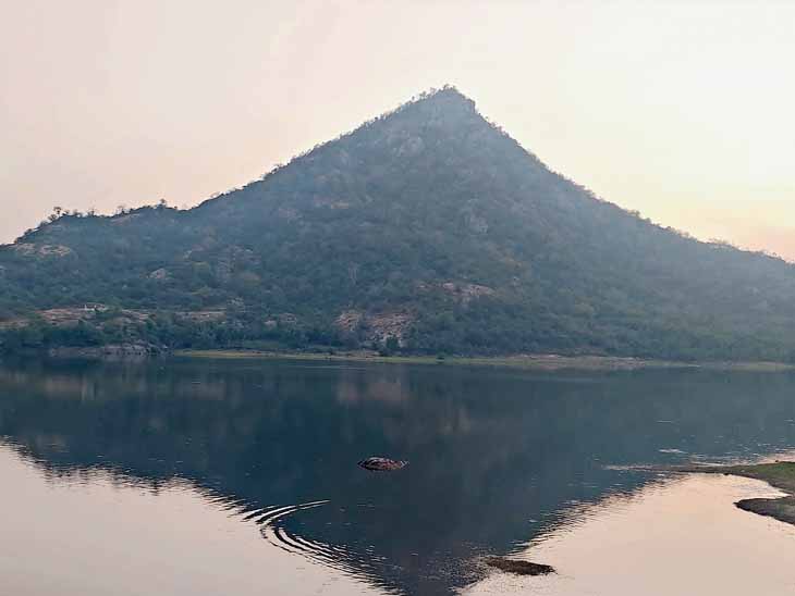 A huge lake spread over 38 hectares that keeps the Jessore Sanctuary ...