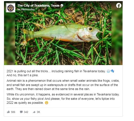 Fish fall from sky during rain in US city | રેરેસ્ટ ઓફ રેર: અમેરિકાના ...