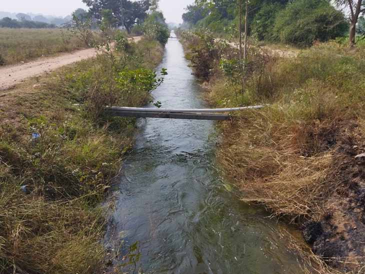 40 cusecs of water was released into the canal for irrigation from the ...