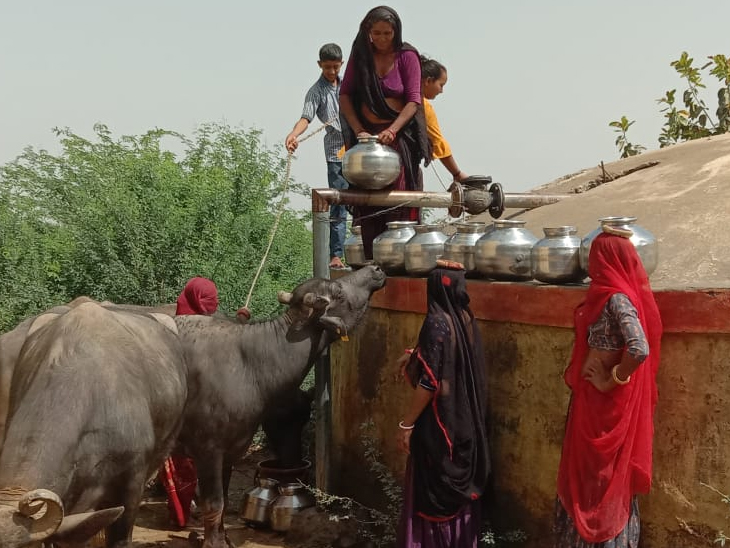 Villagers wandering in Vavna Chotharnesada without drinking water for ...