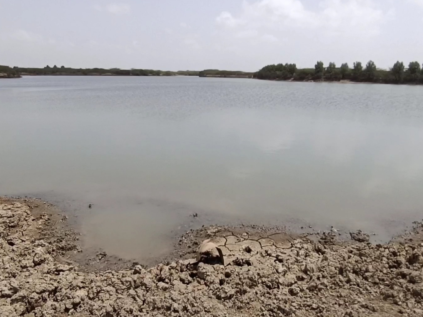 The two lakes in Dandi village will be filled with canal water, which ...