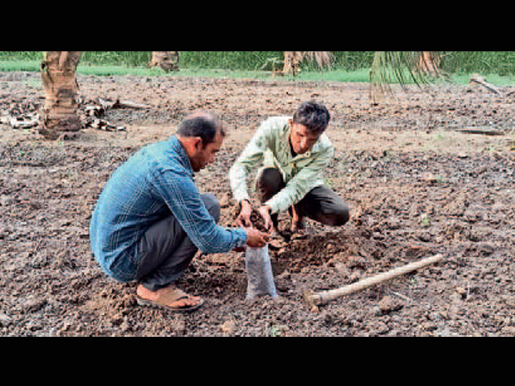 Soil samples were taken for soil segregation in Sutrapada panth ...