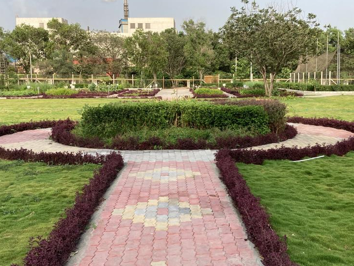 Prepare herbal garden with 60 medicinal plants in Vapi | ભાસ્કર વિશેષ ...