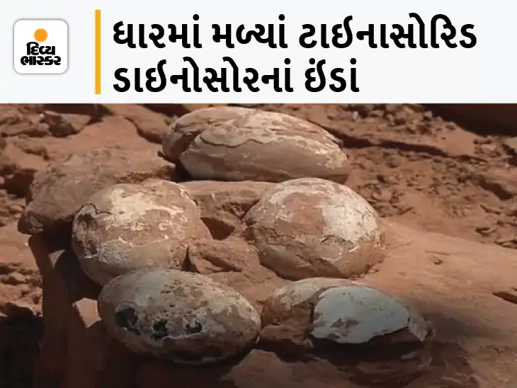 The world's first dinosaur egg was found inside an egg, DU scientists ...