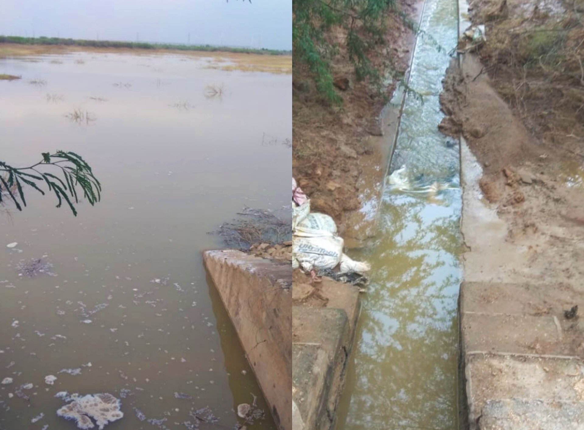 Abadsa's Kuva-Paddhar dam wastes rainwater due to system negligence