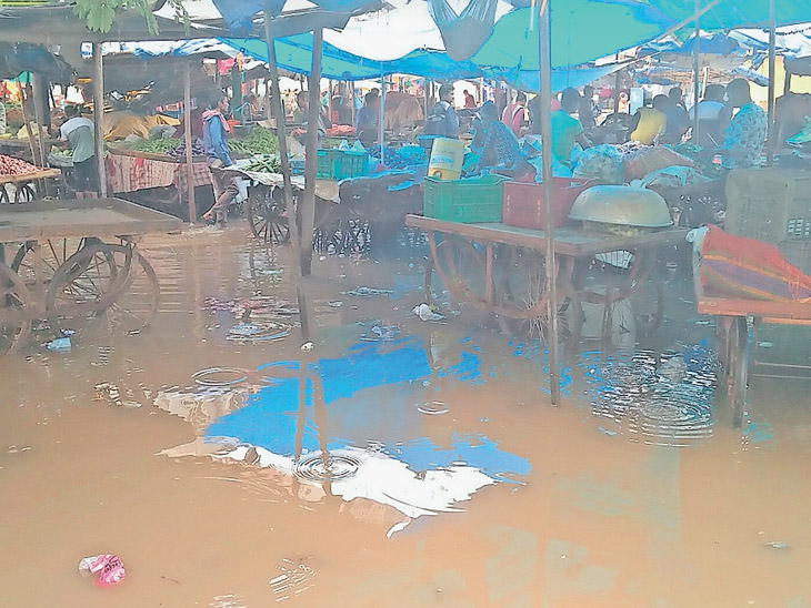 Navsari became the main vegetable market lake in one fell swoop ...