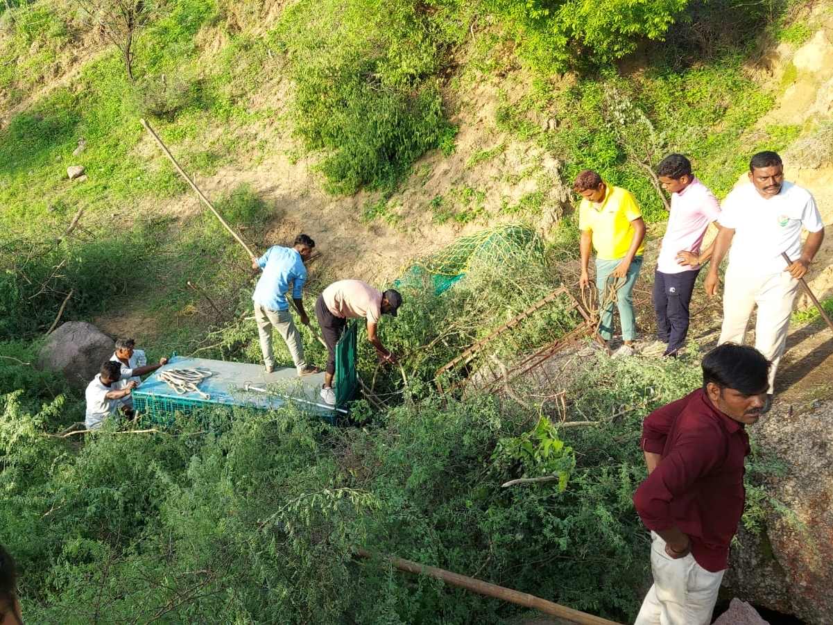 Zarakh attacks woman going to field in Patiala; After 10 hours of ...