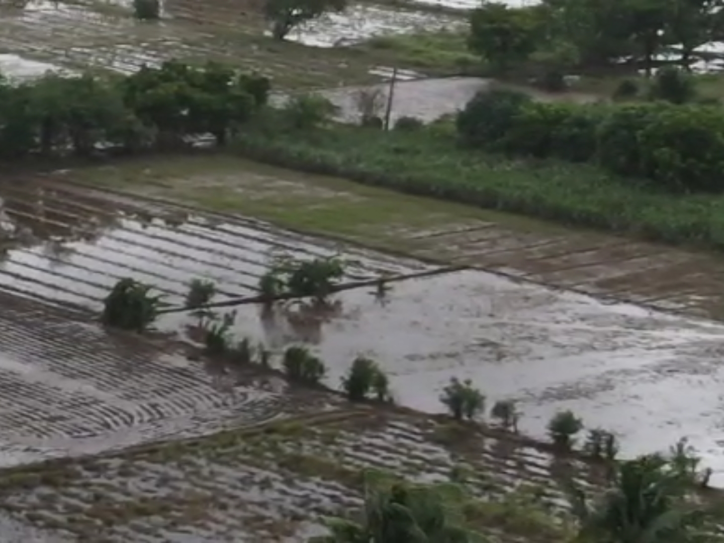 Using drones to estimate the damage to agriculture caused by the ...
