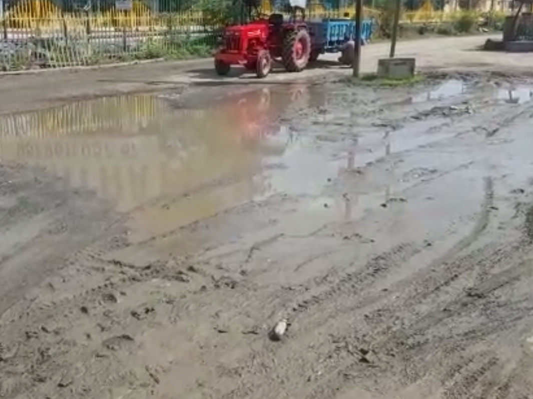 Several roads in the Dhasa area were potholed; Heavy distress to motorists