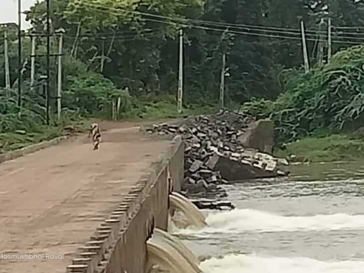 The sitting bridge over Shetrunji river was washed away in Sarambada