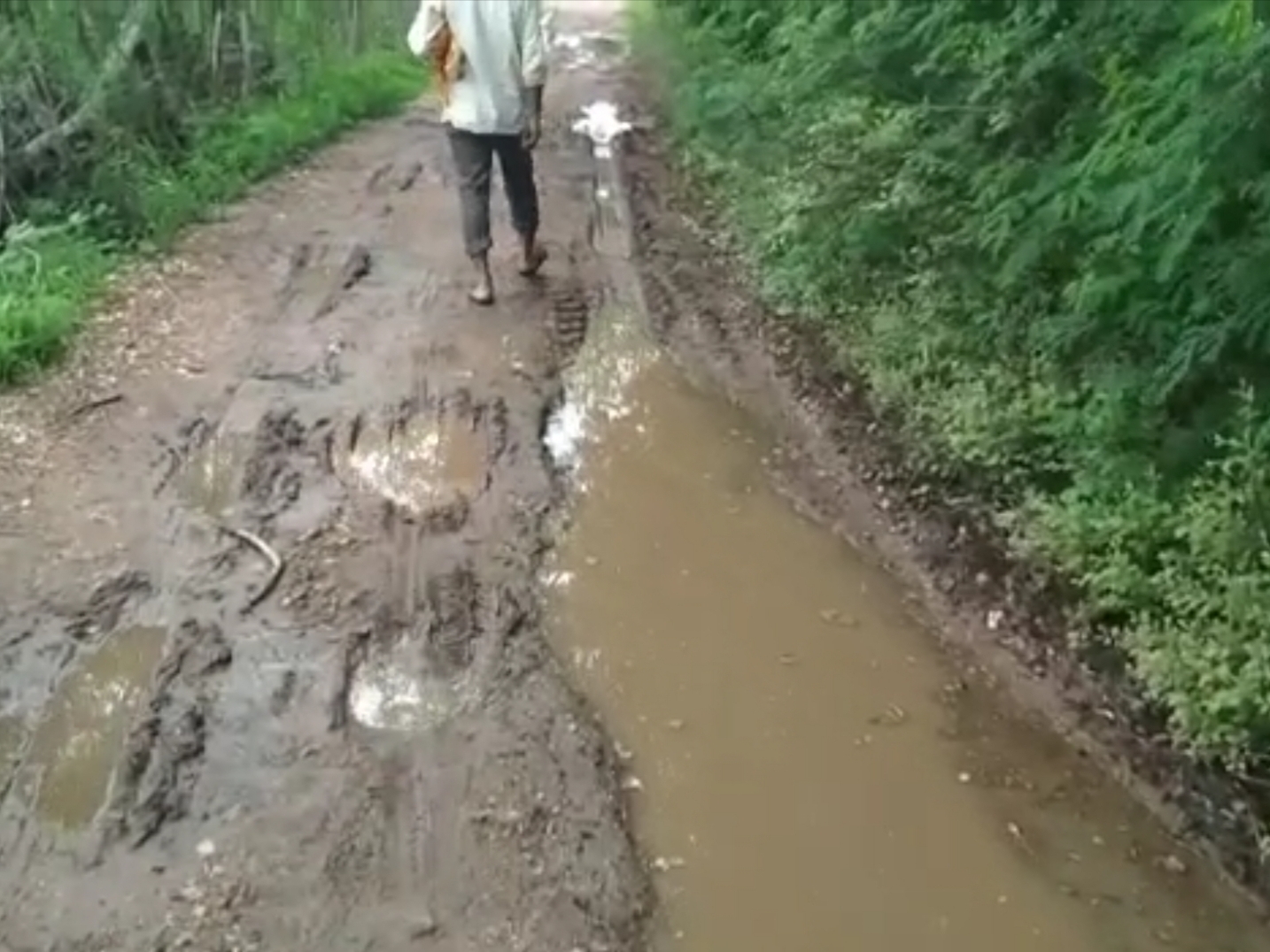 Residents of Amlai Tanda village in Modasa still deprived of paved ...