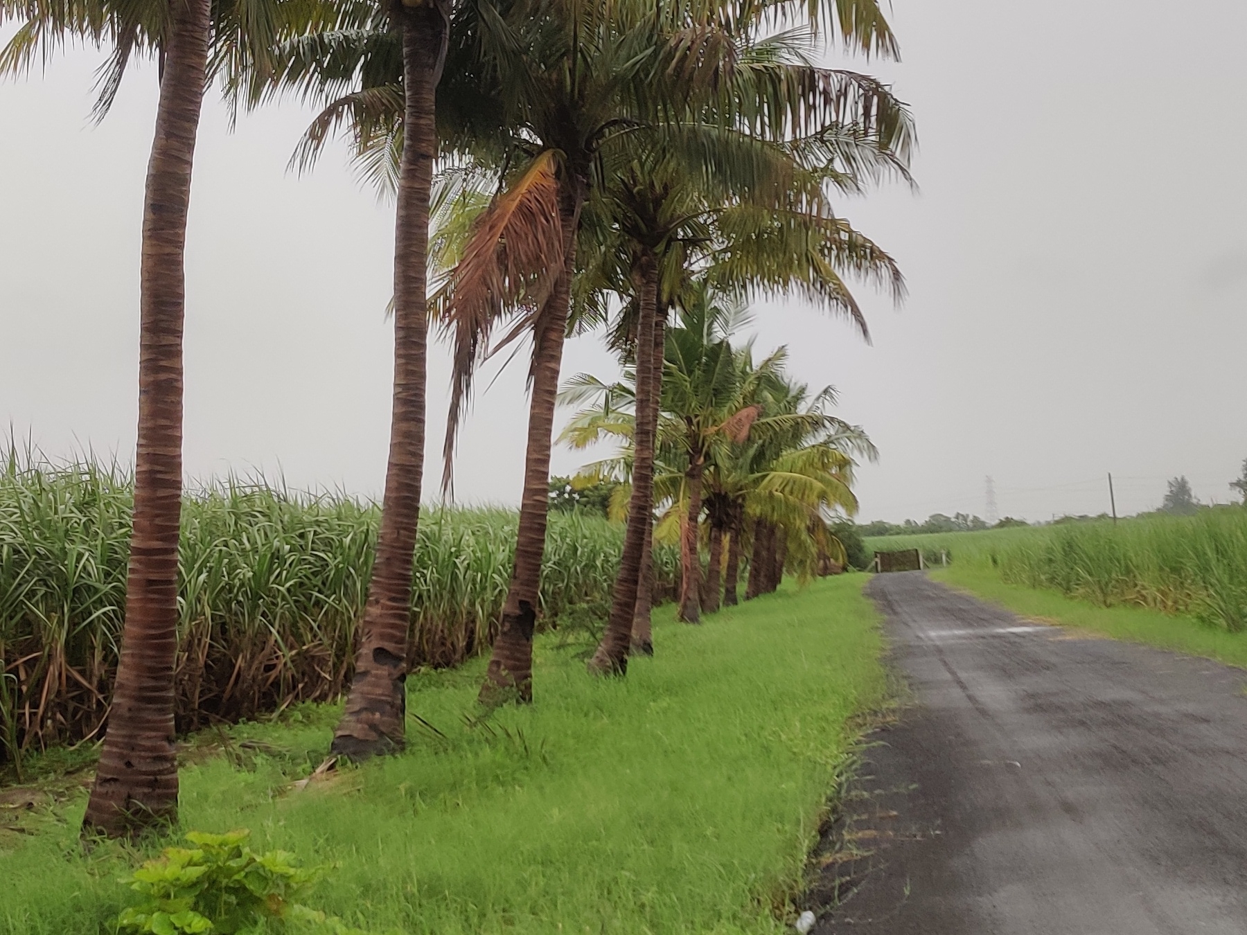 ઝઘડિયા | Jhagadia - Divya Bhaskar