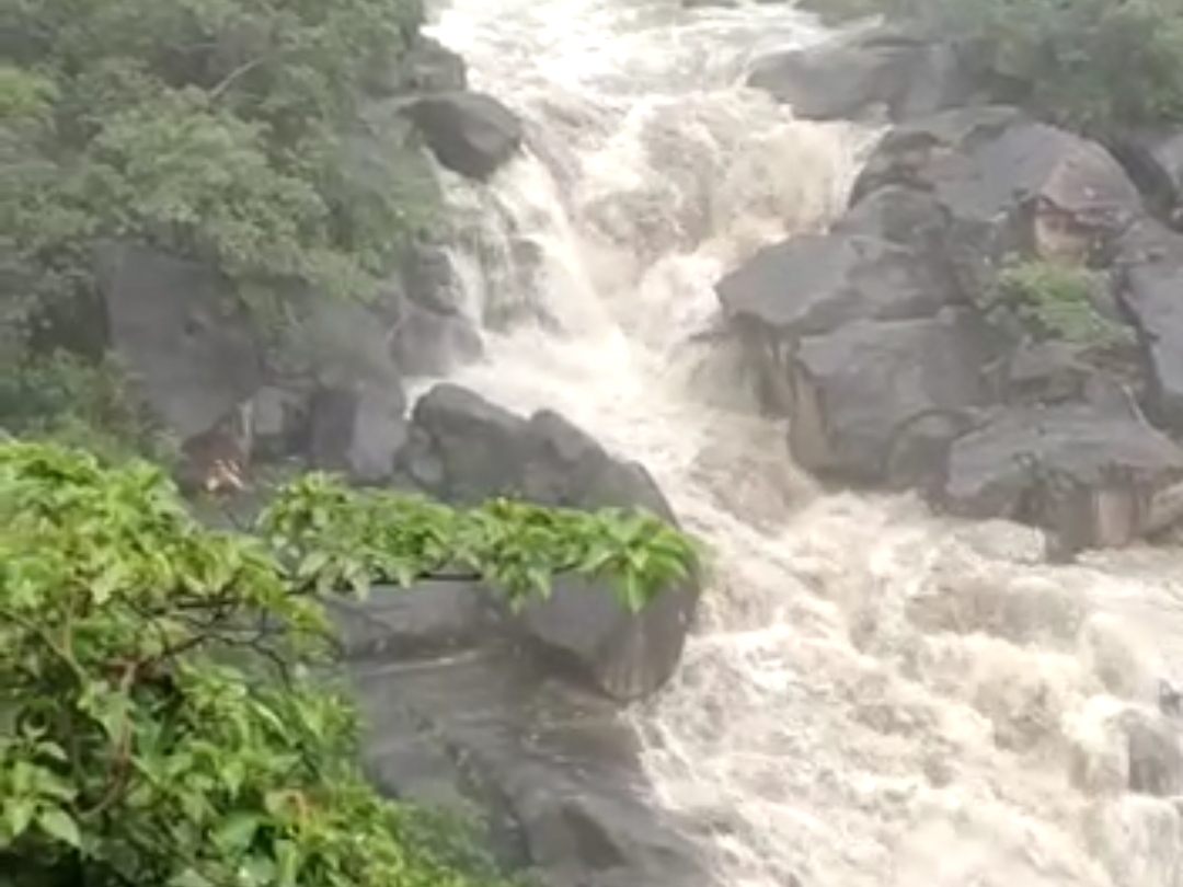 માઉન્ટ આબુમાં નકી લેક ઓવરફ્લો થયો, સતત વરસાદથી ઝરણાઓ ફરી થયા જીવંત ...