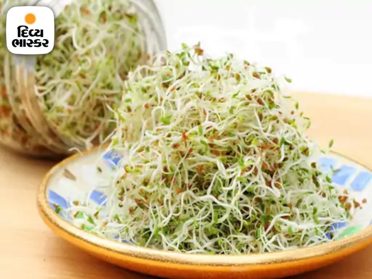 Eating sprouts sprouted in rainy season is dangerous, can cause food ...