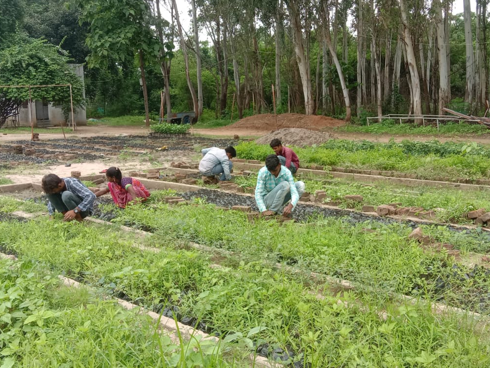 The Forest Research Center at Dhanol in Godhra, Rajasthan and the ...