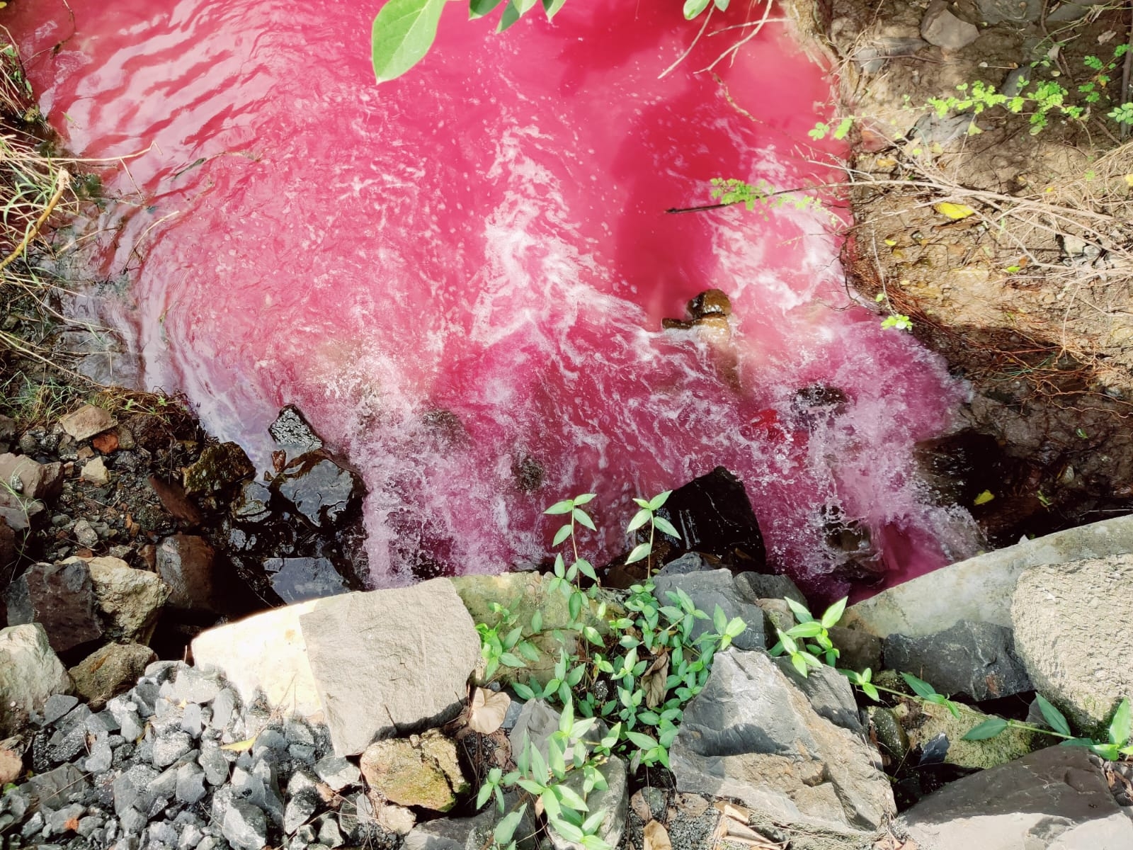 Fury among people who released red-colored chemical water into the ...